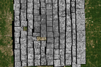 IMAGE 1937