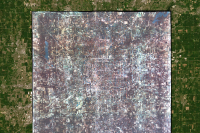 IMAGE 1971