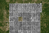 IMAGE 1956