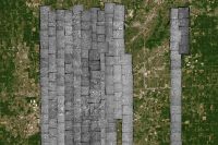 IMAGE 1991